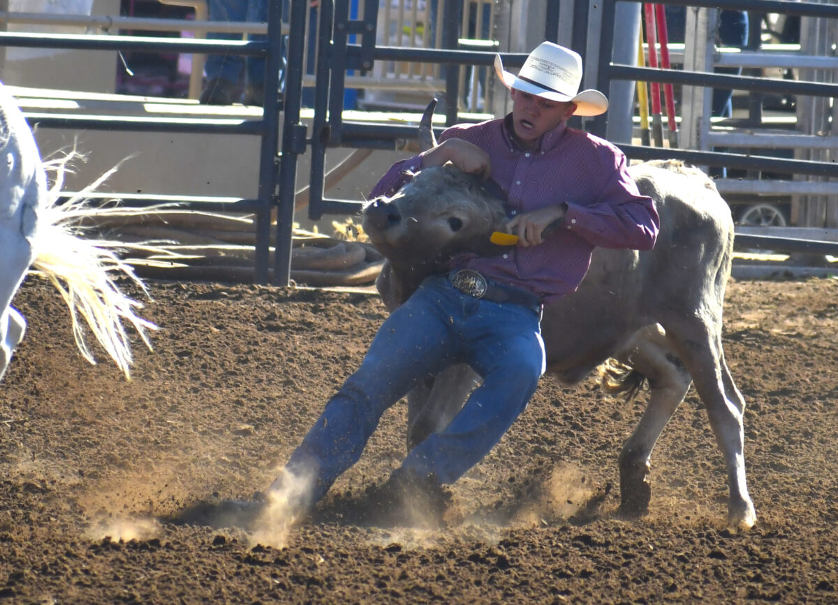 Goldy is golden: Spanish Fork’s Weston Milner racking up wins at state ...